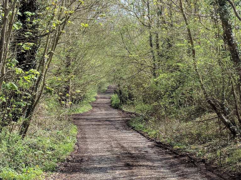 Old Shaftesbury Drove Road Cycle Routes and Map | Komoot