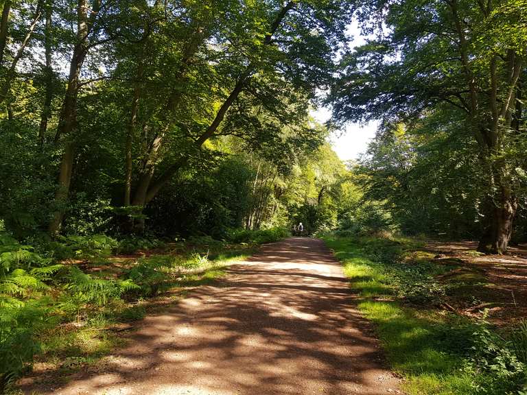Green Ride, Epping Forest Mountain Bike Trails & Tracks | Komoot