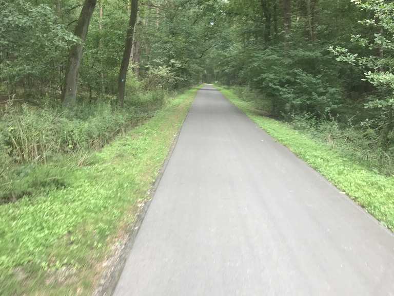 Alter Postweg: Radtouren und Radwege | komoot