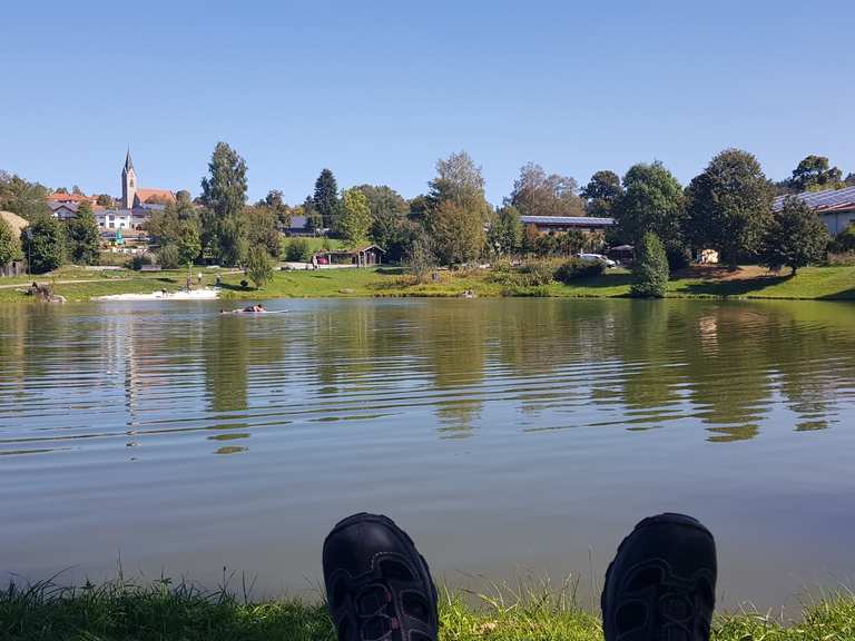 Badesee Neuschönau Routes for Walking and Hiking | Komoot