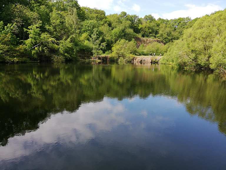 Silbersee (Naturschutzgebiet Lemberg): Wanderungen und Rundwege | komoot