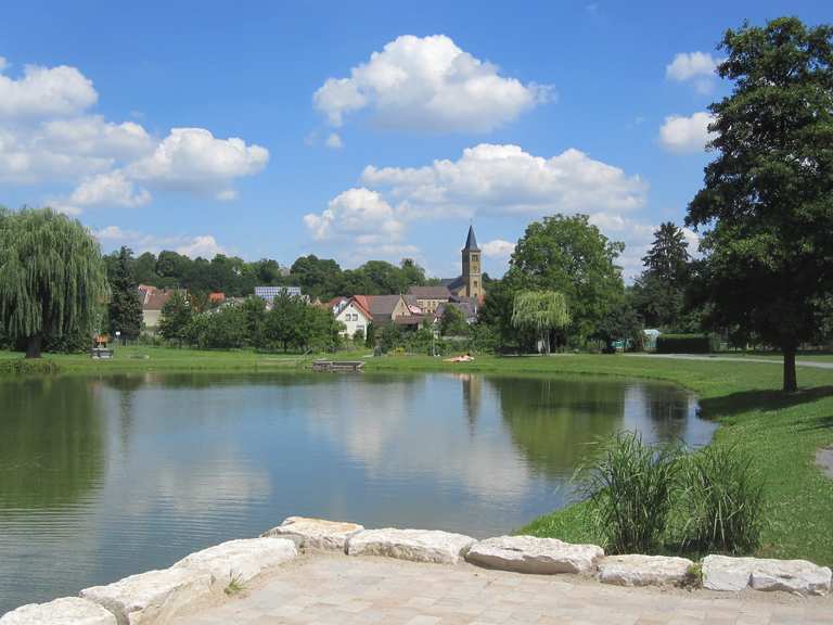 Elsenz See: Mountainbike-Touren und -Trails | komoot