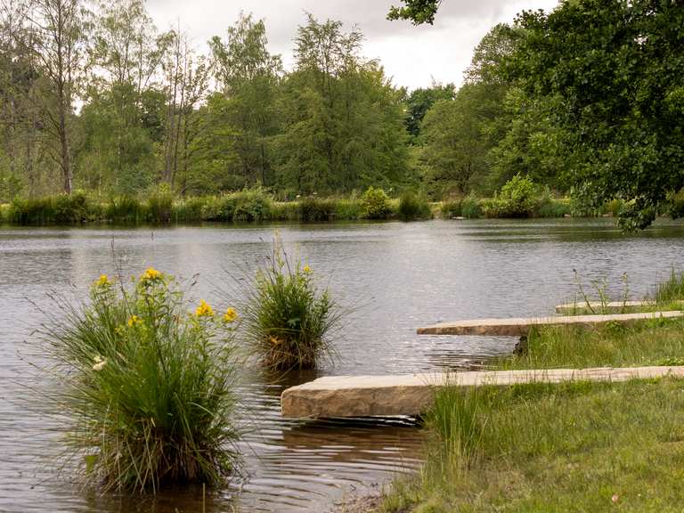 Bibertal – Rüthen Bibertal Runde von Brilon Stadt | Fahrradtour | Komoot