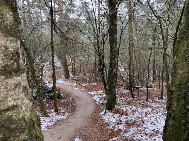 Deel MTB route Appelscha: MTB-routes en trails | Komoot