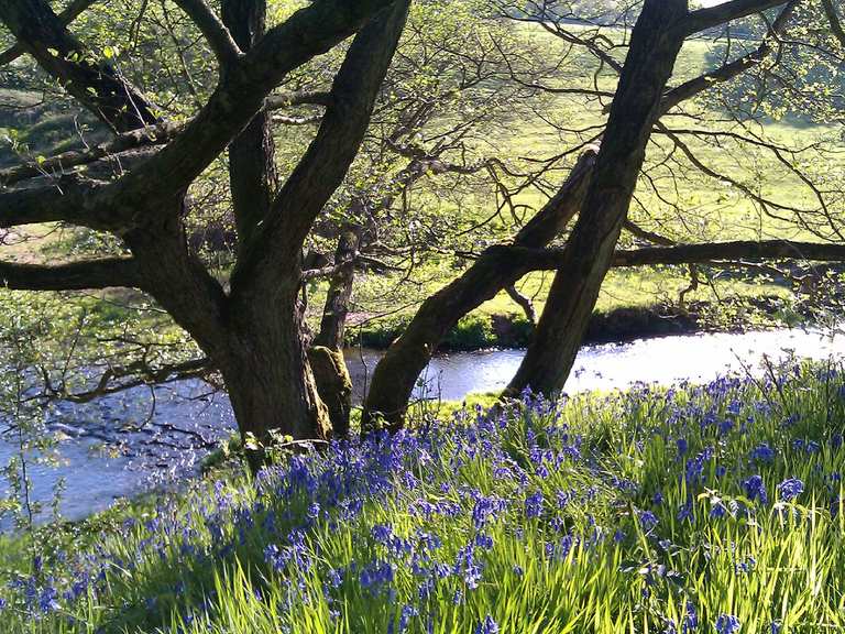 Dane-in-Shaw Pasture – Lambert's Lane Bridge loop from Congleton | hike ...