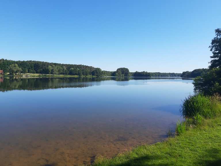 Strandhaus Grashof am Rothsee - Itinéraires de rando et marche | Komoot