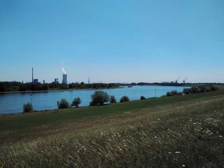 Rheindamm - Cycle Routes and Map | Komoot