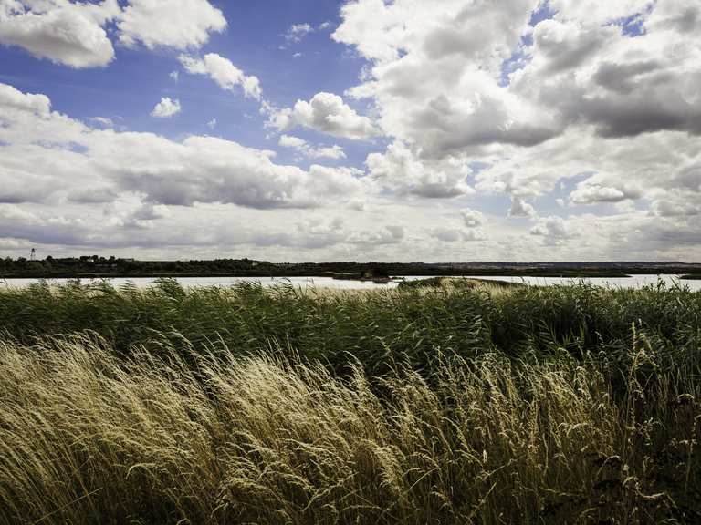 RSPB Cliffe Pools Nature Reserve Routes for Walking and Hiking | Komoot