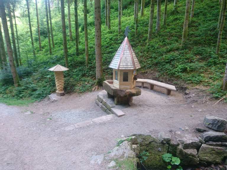 Schnapsbrunnen Routes for Walking and Hiking | Komoot