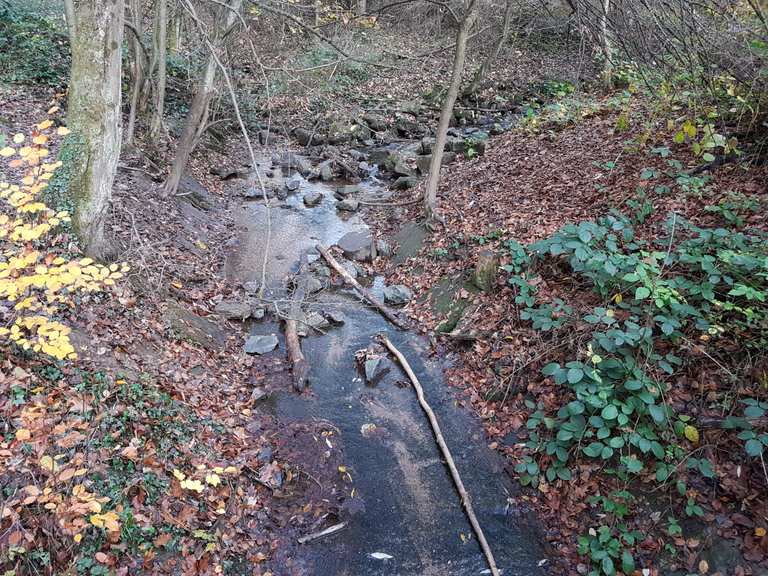 Nacker Bach Routes for Walking and Hiking | Komoot