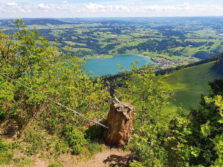 Gschwender Horn: Wanderungen und Rundwege | komoot