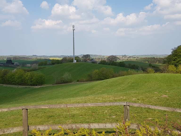 Bungsberg – höchster Punkt Schleswig-Holsteins: Wanderungen und ...