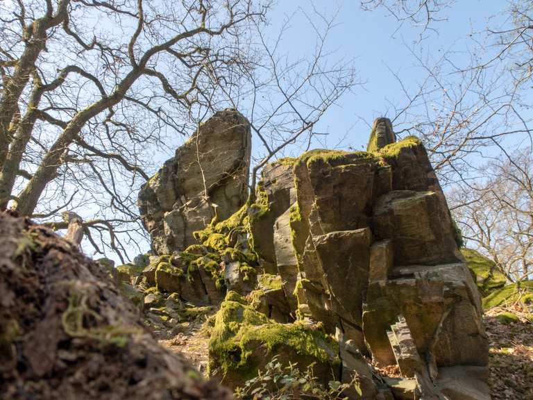Dachsbau wandelroutes en hikes | Komoot
