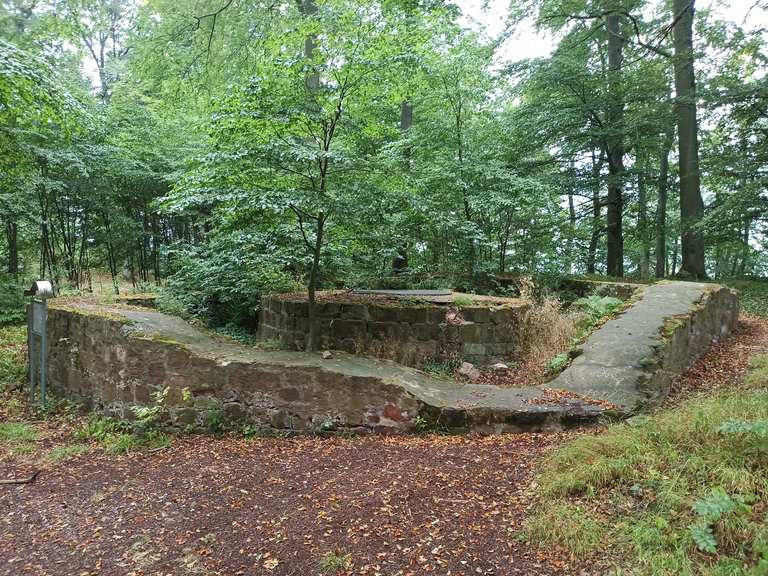 Burgruine Rodenberg Routes for Walking and Hiking | Komoot