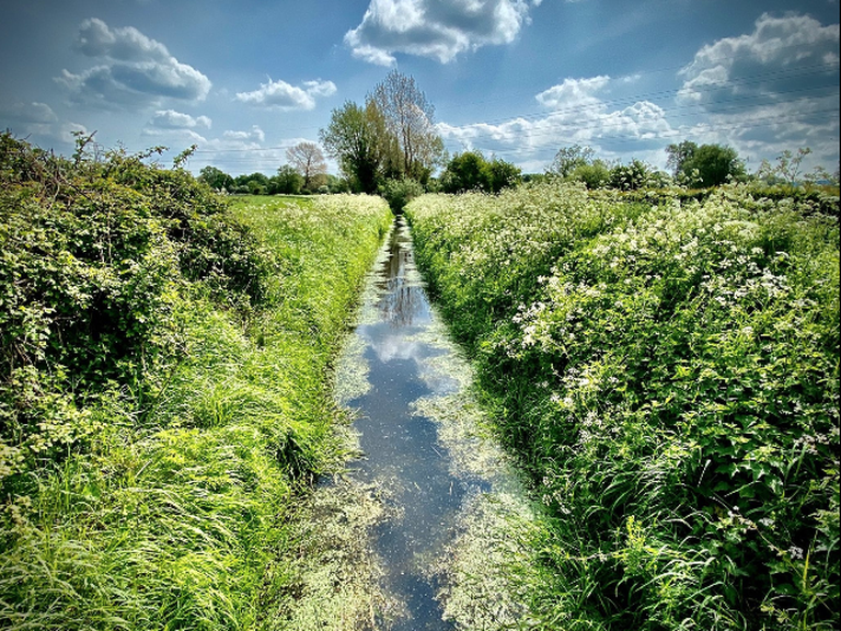 Nailsea Wall - Road Cycle Routes and Map | Komoot