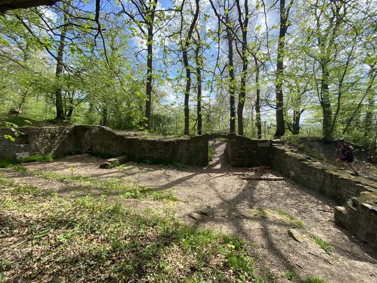 Burgruine Rodenberg: Mountainbike-Touren und -Trails | komoot