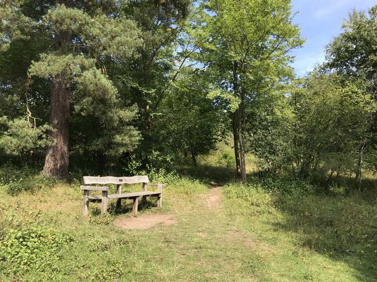 Warburg Nature Reserve Routes for Walking and Hiking | Komoot