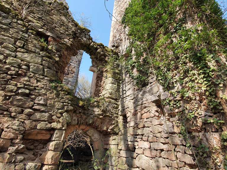 Leonrod Castle Ruins Routes for Walking and Hiking | Komoot