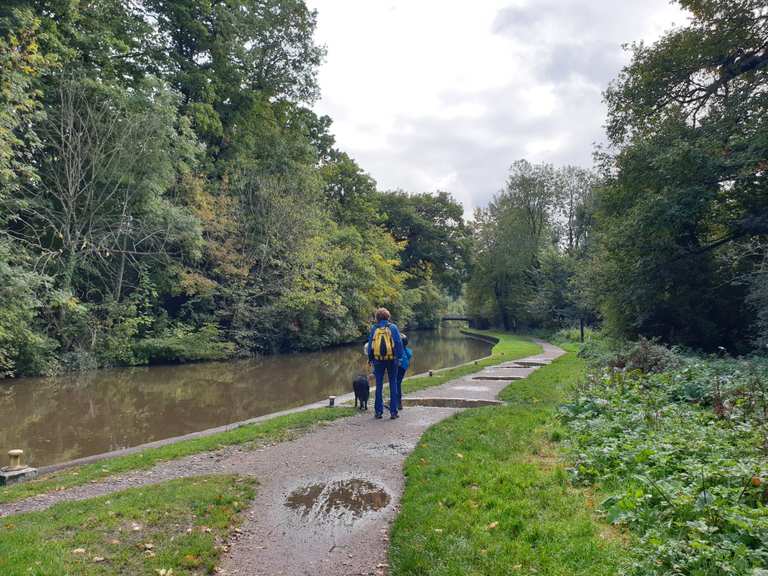 Essex Bridge Routes For Walking And Hiking Komoot