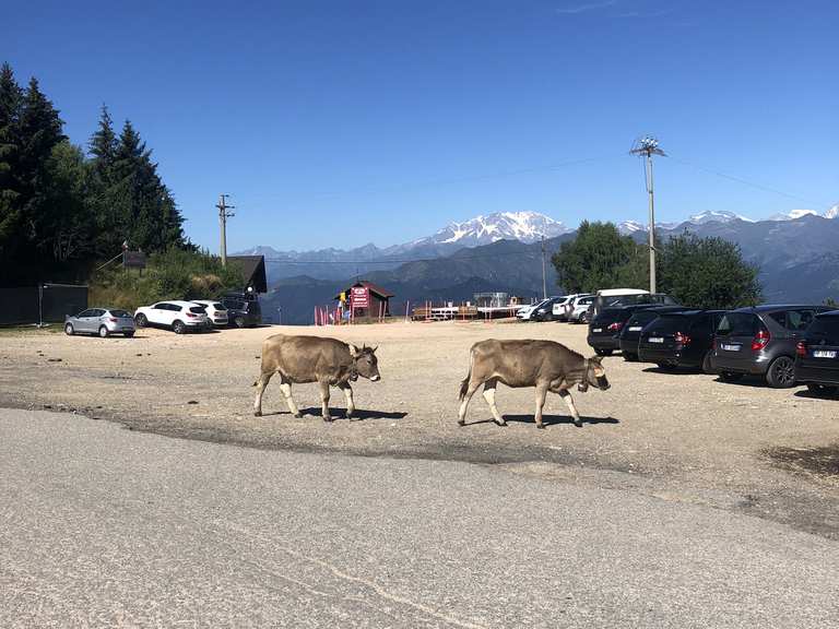 Podjazd na Mottarone z Armeno – trasy piesze | Komoot