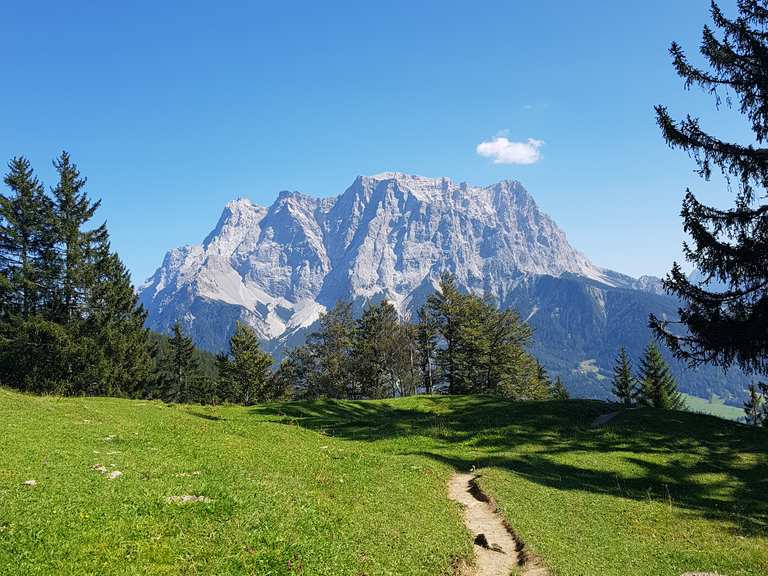 Alperosenweg Tuftalm Panoramaweg Lermoos Ehrwald: Wanderungen und ...