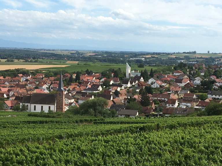 Blick auf Rechtenbach-Schweigen: Wanderungen und Rundwege | komoot