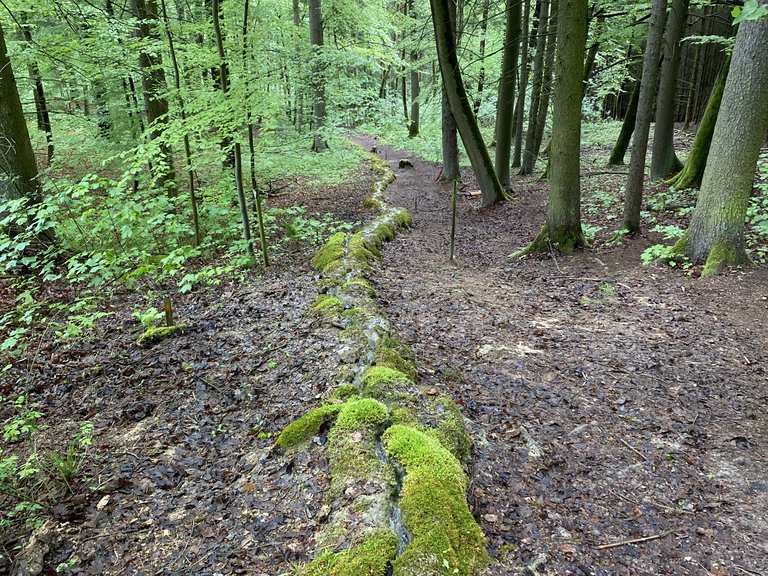 Steinerne Rinne: Wanderungen und Rundwege | komoot