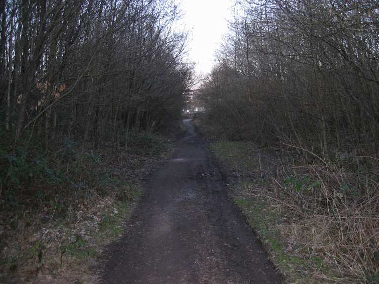 Brick Lane in Clyne Valley Woods Cycle Routes and Map | Komoot
