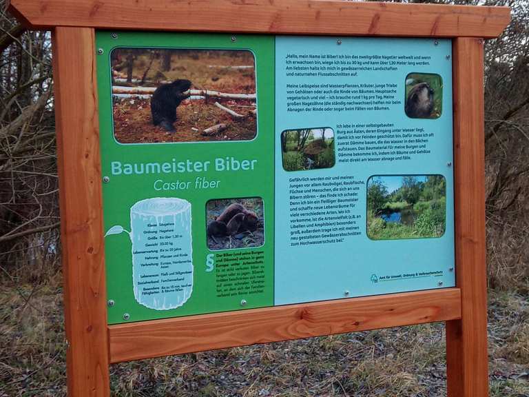 Beaver Habitat – Hiking & Cycling Routes | Komoot