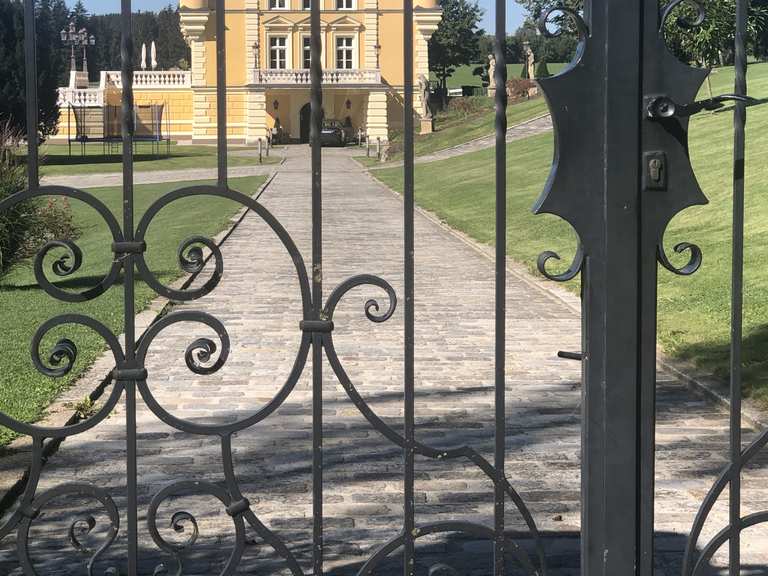 Schloss Tannbach: Mountainbike-Touren und -Trails | komoot