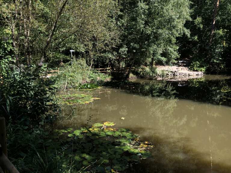 Eichensee: Wanderungen und Rundwege | komoot