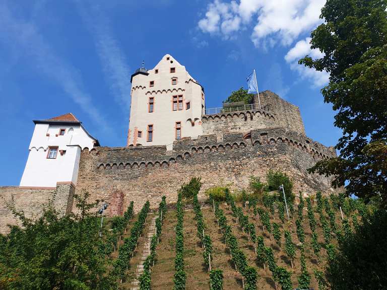 Burg Alzenau - Unterfranken / AB 🚴‍♂️: Rennradfahren und Rennradtouren ...