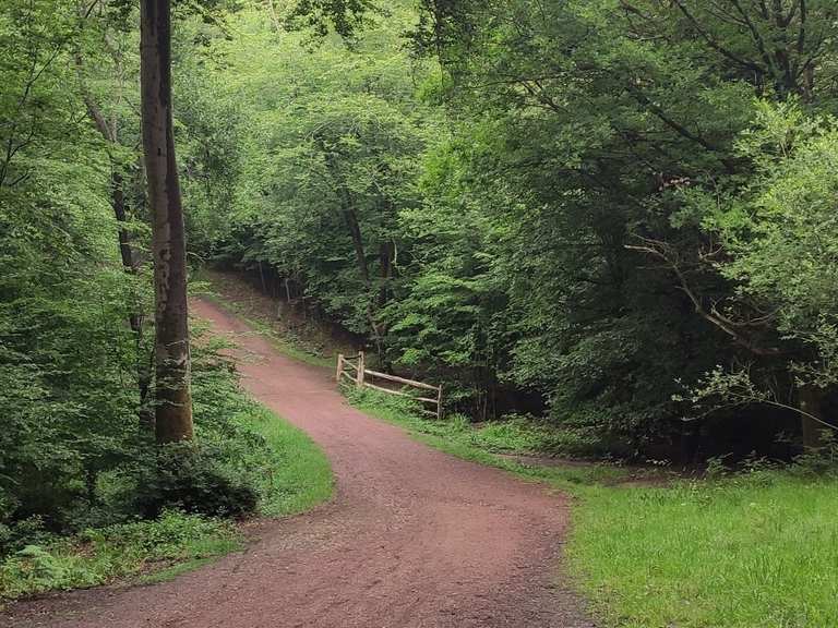 Green Ride, Epping Forest Mountain Bike Trails & Tracks | Komoot