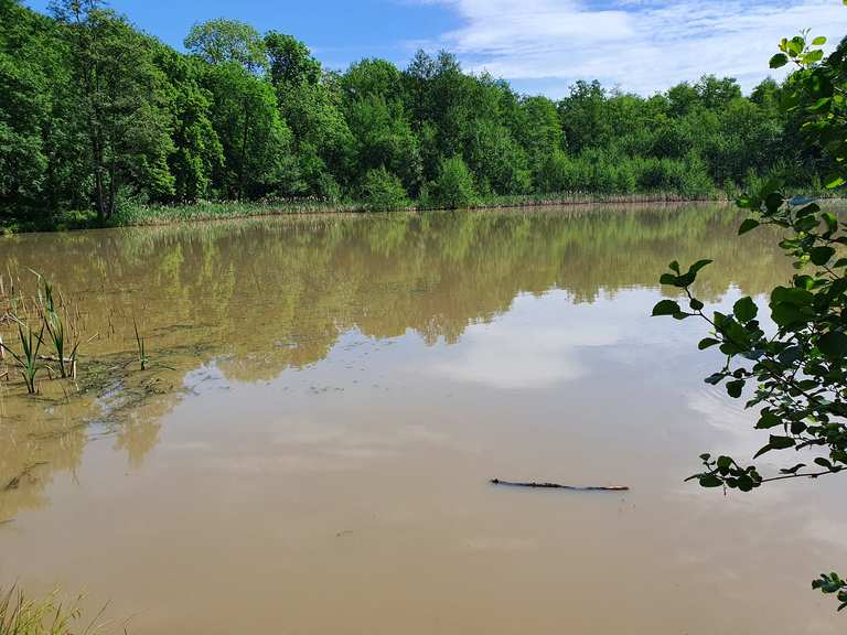 Annasee Routes for Walking and Hiking | Komoot