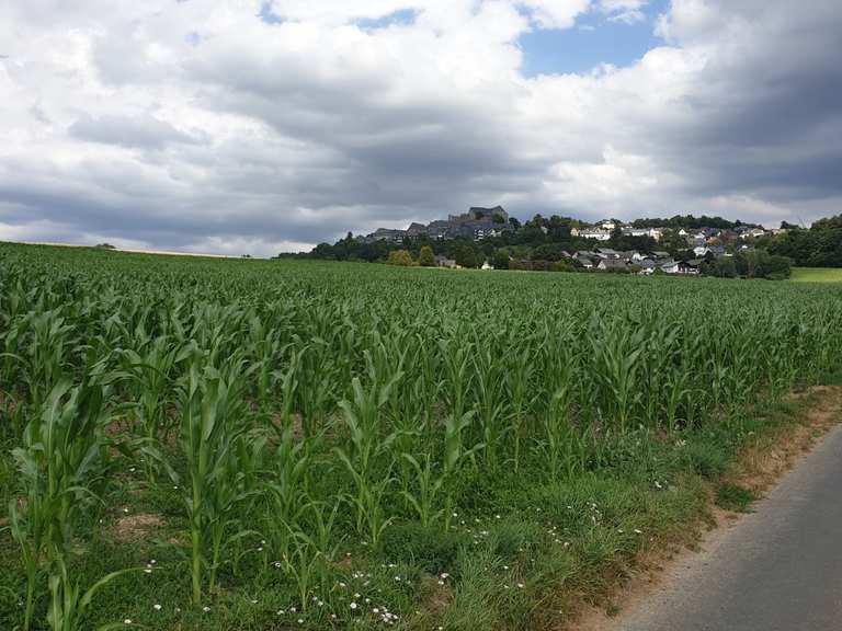 View of Hohensolms Castle - Mountain Bike Trails & Tracks | Komoot