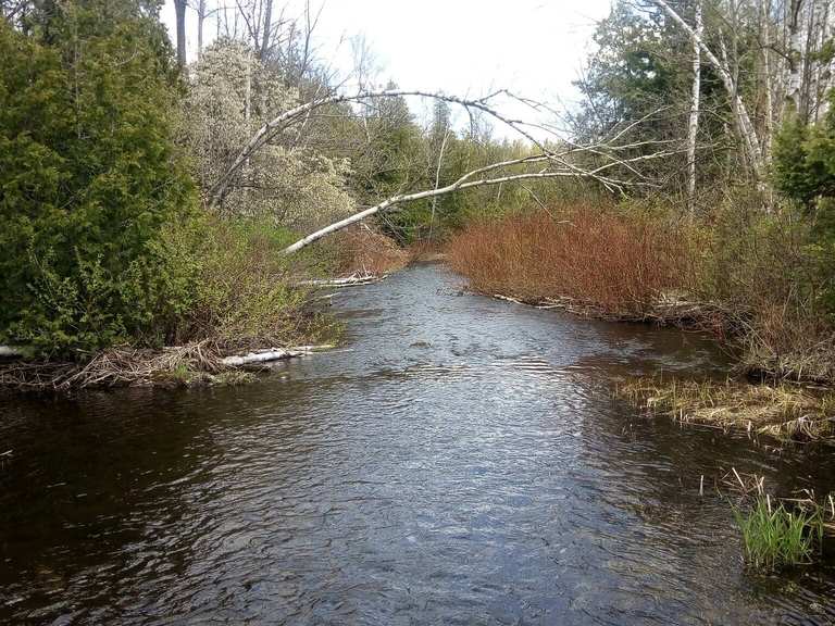 Halton Hills Conservation Area Road Cycle Routes and Map | Komoot