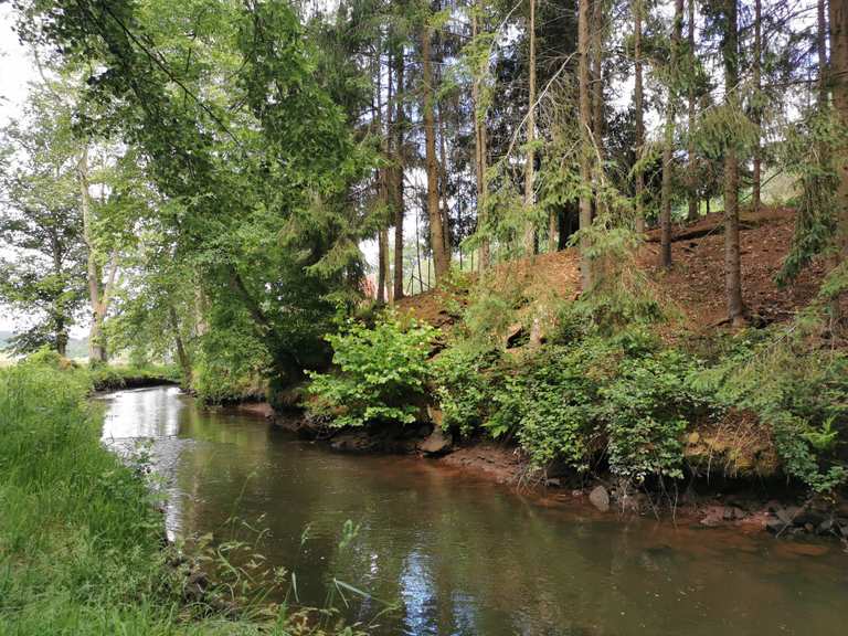 Etang du Baerenthal (Etang du Schmalenthal) Routes for Walking and ...
