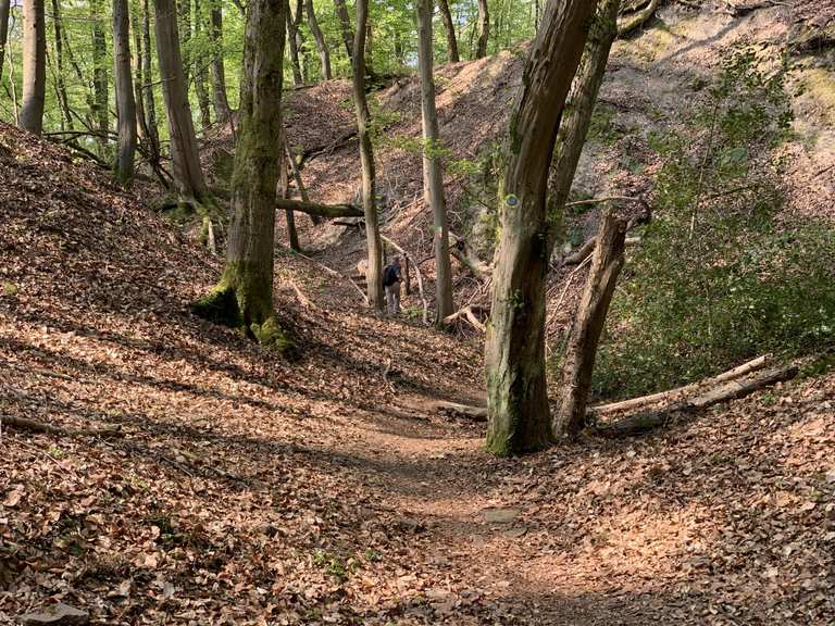 Blick auf Friedrichsthal und Bildstock wandelroutes en hikes | Komoot