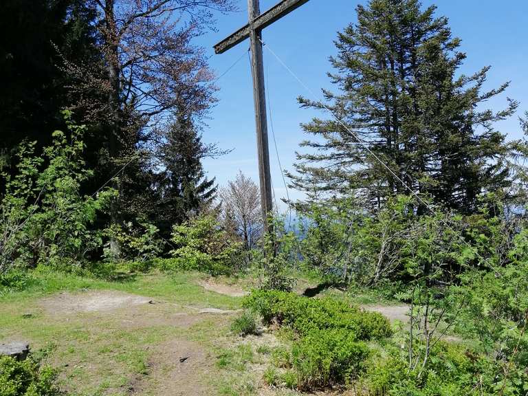 Gschwender Horn: Wanderungen und Rundwege | komoot