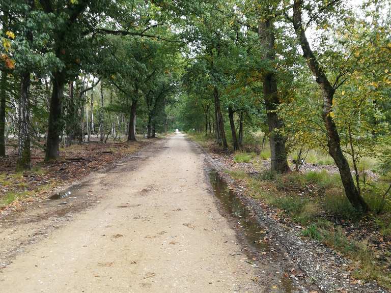 Rode Beek Routes for Walking and Hiking | Komoot