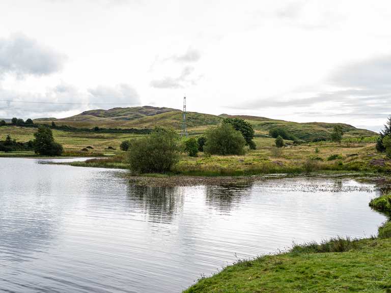 Mine Wood - Mountain Bike Trails & Tracks | Komoot