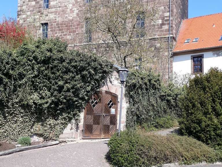 Burg Hardeg (in Hardegsen): Wanderungen und Rundwege | komoot