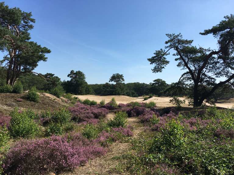 Soesterduinen - Cycle Routes and Map | Komoot