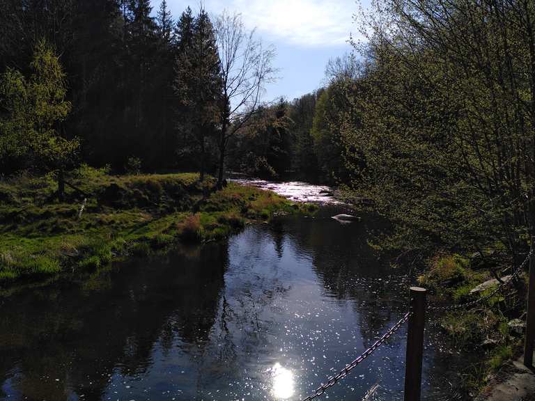 Traumhafter Abschnitt der Freiberger Mulde: Radtouren und Radwege | komoot