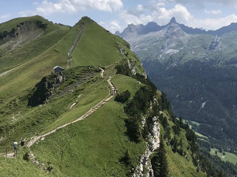 Gratwanderung – Fronalpstock Gipfel Circuit à partir de Stoos ...