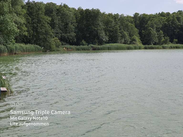 Buckowsee (Buckow) Routes for Walking and Hiking | Komoot