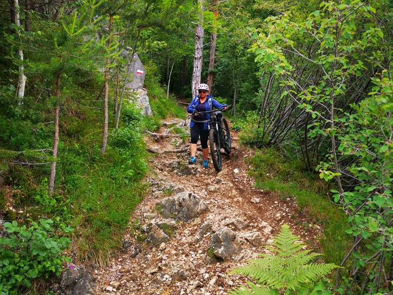 422 Pregasina Trail (S3) Mountain Bike Trails & Tracks | Komoot
