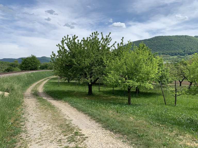 Szlak Wiesen i Erm – trasy MTB | Komoot