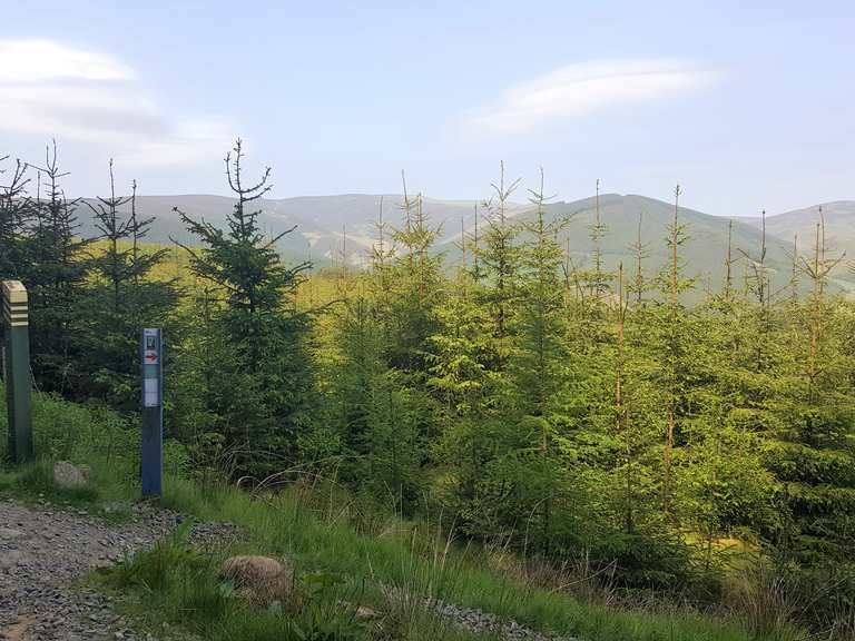 7 Stanes Innerleithen trails loop | mountain bike ride | Komoot