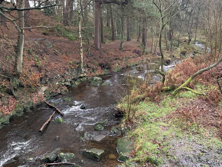 Wyming Brook Nature Reserve Routes for Walking and Hiking | Komoot